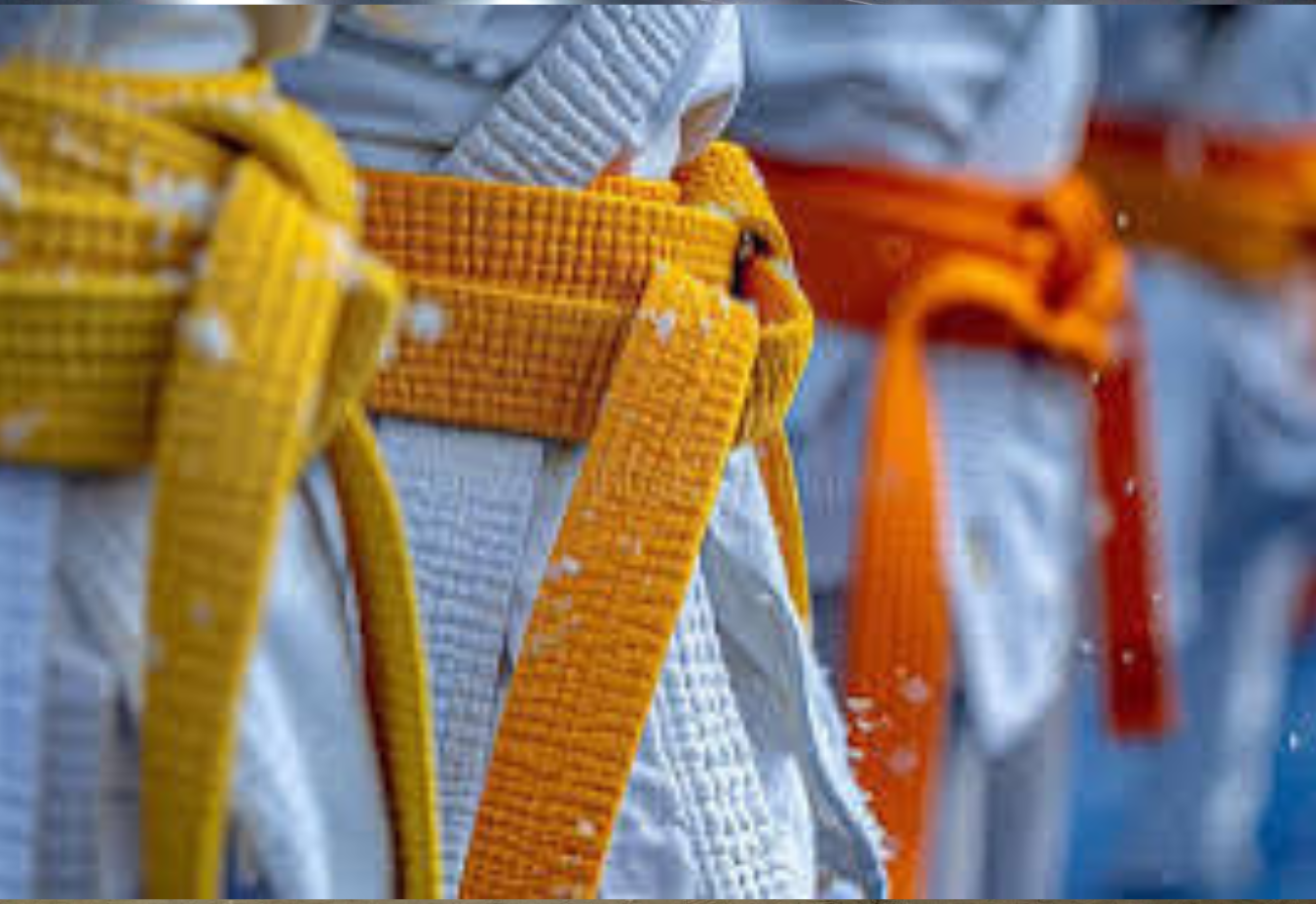Private Karate Coaching in Karachi: Personalized Martial Arts Training ...